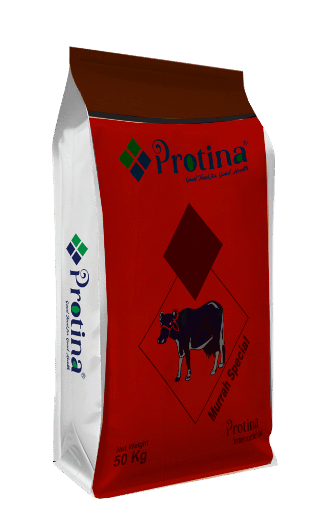 Protina – Protina